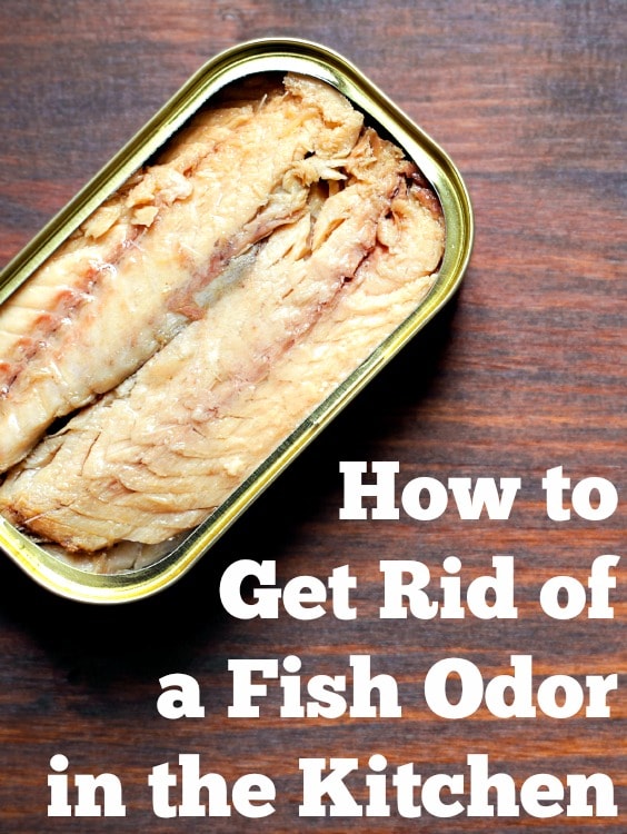 How to Get Rid of Fish Odor in the Kitchen – Home-Ec101